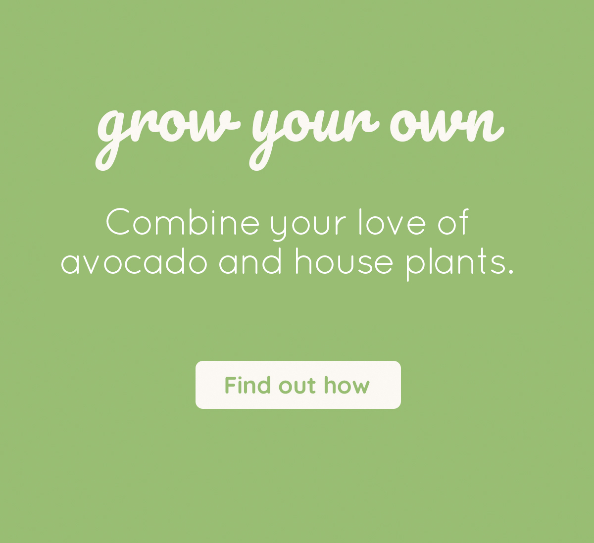 Avotherapy - Australian Avocados