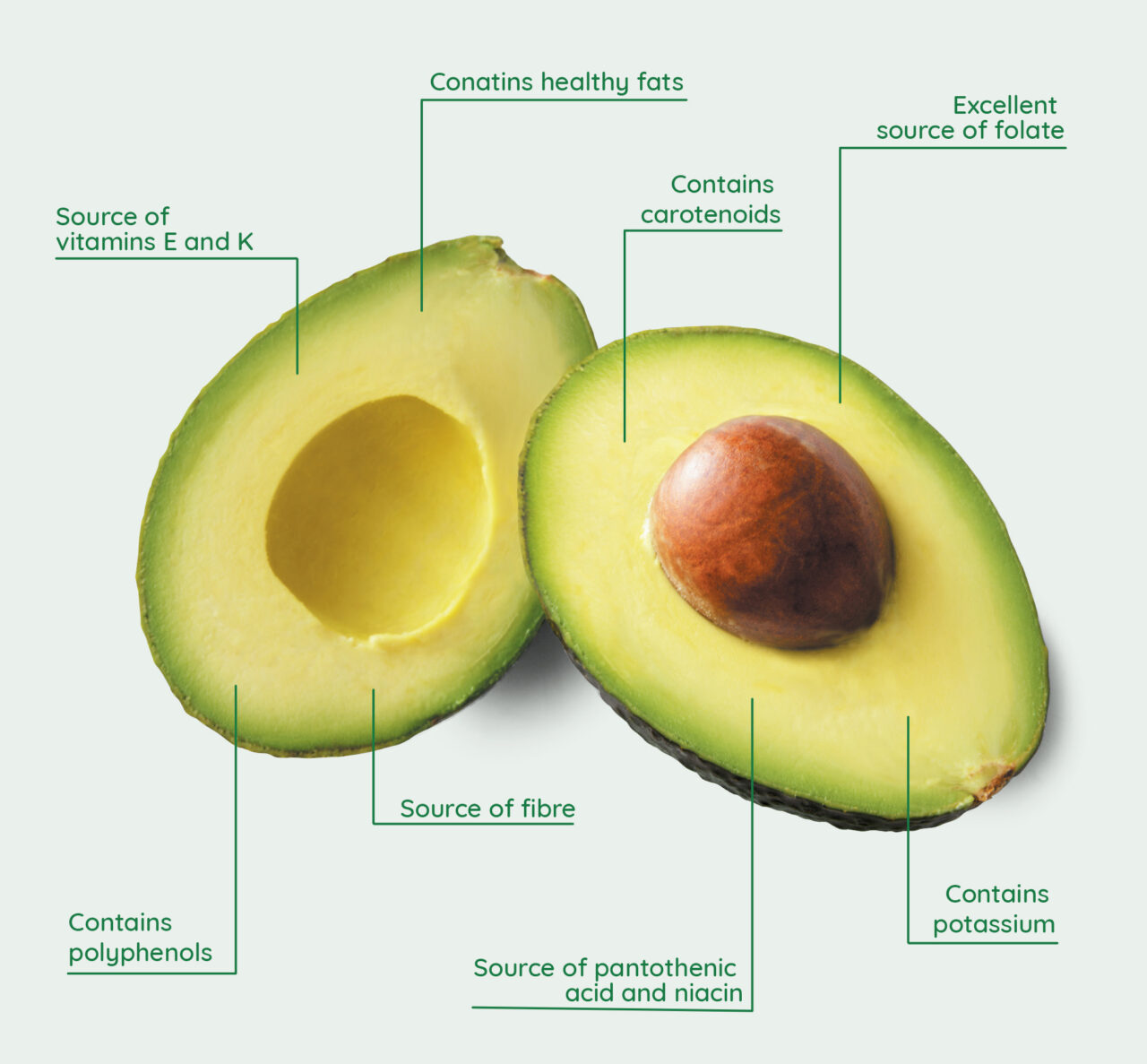 Social Media Toolkit - Australian Avocados